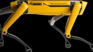 Boston Dynamics robot dog Spot goes on sale - BBC News