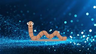 Shimmering 'glitter worms' found at the bottom of the sea - BBC Newsround
