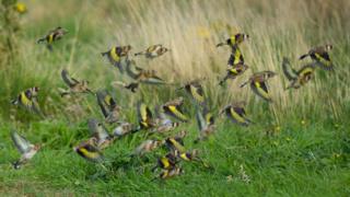 Your pictures of Scotland: 2 - 9 October - BBC News