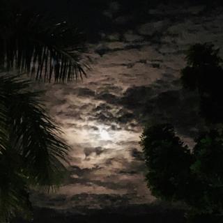 Your pictures on the theme of 'after dark' - BBC News