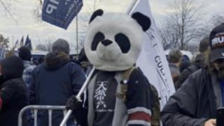 FBI arrests so-called sedition panda in 6 January Capitol riot case ...