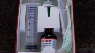 Warning over missing large animal euthanasia kit - BBC News