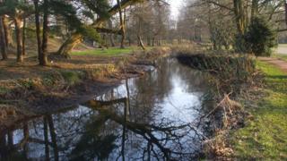 Cardiff's Bute Park celebrates 70th anniversary - BBC News