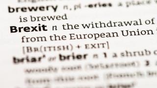 Brexit: 12 key words you need to know - BBC News
