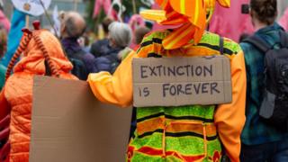 Climate change: Vulnerable nations call for 'emergency pact' - BBC News