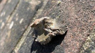 Exeter WW2 bomb: Doors and windows 'blown through' - BBC News