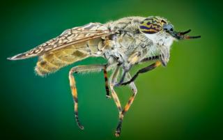 Your pictures of Scotland: 13 - 20 July - BBC News