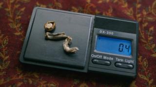 Microdosing: The people taking LSD with their breakfast - BBC News