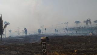 Amazon fires: The tragedy of the couple who died protecting their home ...