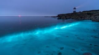 Anglesey: 'How we photographed a bioluminescence sea sparkle' - BBC News