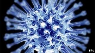 Swine flu narcolepsy 'link' probed by WHO - BBC News