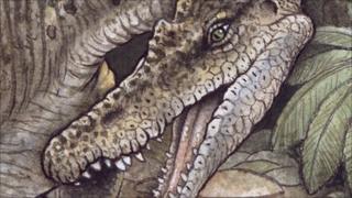 Elaphrosaur: Rare dinosaur identified in Australia - BBC News