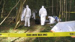 Forensic science uncovered - BBC News
