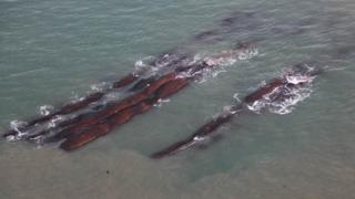 Artificial reef makes Boscombe surfers 'laughing stock' - BBC News