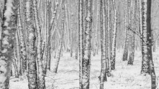 Your latest pictures of snow - BBC Weather