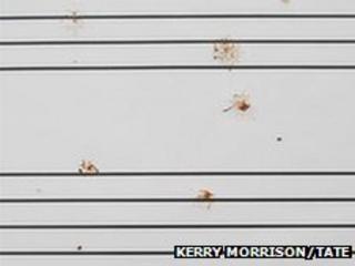 Birds make music with bum notes - BBC News