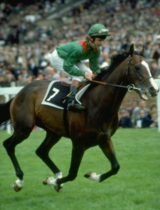 Shergar: The day the wonder horse was stolen - BBC News