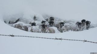 In Pictures: The Isle of Man under snow - BBC News