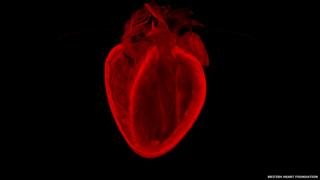 In pictures: Inside the heart - BBC News