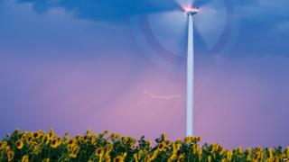 Day in pictures: 8 August 2013 - BBC News