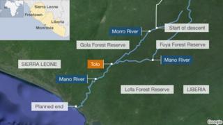 Surviving malaria on the Mano River - BBC News