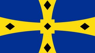 In pictures: County Durham flag designs unveiled - BBC News