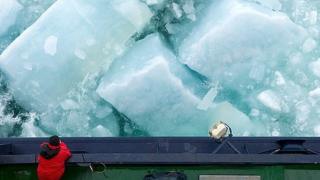 Climate change impacts and adaptation - BBC News