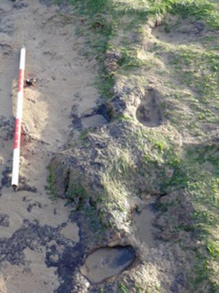 Bronze Age footprints found on Port Eynon, Gower, beach - BBC News