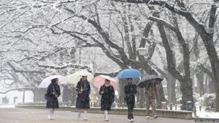 Day in pictures: 14 February 2014 - BBC News