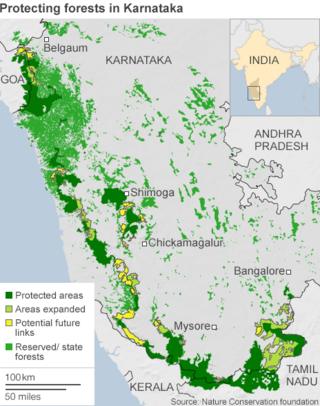 How India is building Asia's largest secure forest network - BBC News