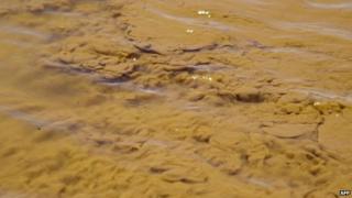 Mexican mine's toxic spillage closes schools in Sonora - BBC News
