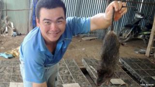 Cambodian rat meat: A growing export market - BBC News