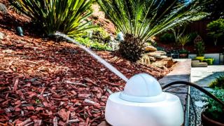 CES 2015: The robots moving in to your house - BBC News