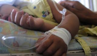 Is the world ready for GM animals? - BBC News