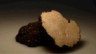 First UK-farmed truffle harvested - BBC News