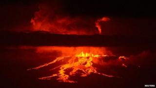 Wolf volcano erupts on Galapagos island - BBC News