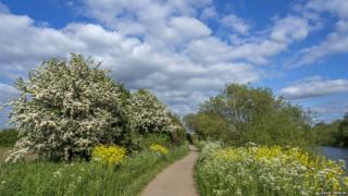 Late May UK weather pics - BBC Weather