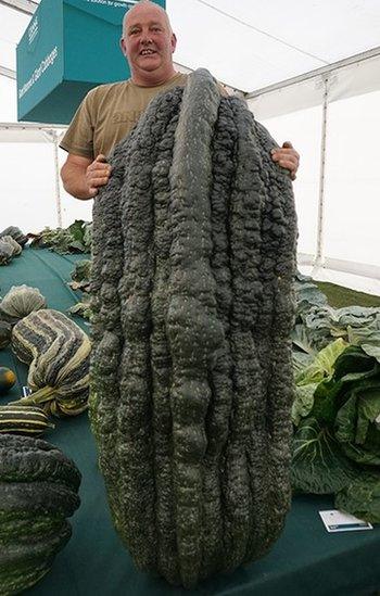 Check out these massive record-breaking vegetables! - BBC Newsround
