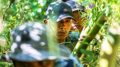 Cook Islands' shark sanctuary creates world's largest - BBC News
