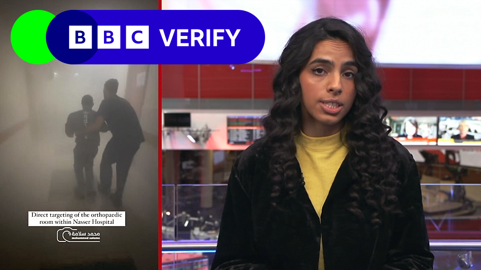 Man arrested for 'trying to punch' Crystal Palace eagle - BBC News