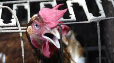 Nuclear test veterans: Stik sculpture unveiled at Kent army museum ...