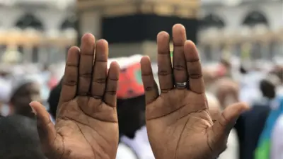 Gosootni nyaataa shan yeroo hedduu nyaachuu hin qabne isaan kami? - BBC ...