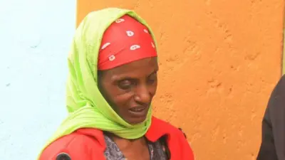 Fakkiiwwan Lammaa Guyyaa: Harmee Oromiyaa fi kanneen biroo - BBC News ...