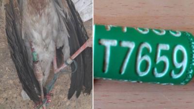 Baaroo Tumsaa: Qabsoo barattootaa hanga qabsoo hidhannoo ABO, Naqamtee ...