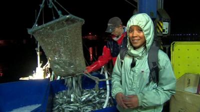 Wild 5 part 1 - Leah goes fishing - BBC Newsround