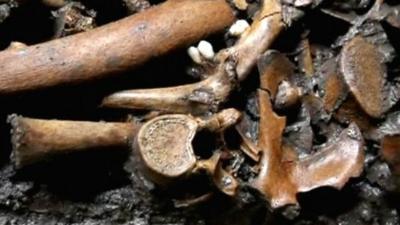 Ancient Aztec tomb yields unusual discoveries in Mexico City - BBC News