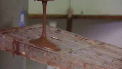 Cocoa shortage: Are we running out of chocolate? - BBC Newsround