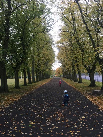 Your pictures of Scotland: 23-30 October - BBC News