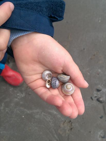 Your pictures of Scotland: 17-24 July - BBC News