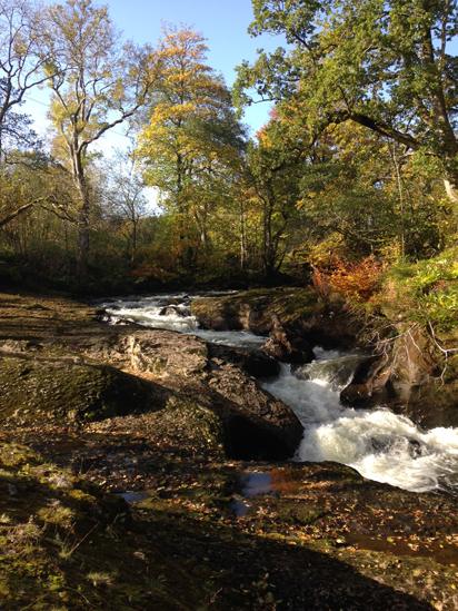 Your pictures of Scotland: 23-30 October - BBC News